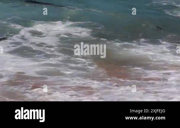 Ocean waves on sand beach Stock Videos & Footage - HD and 4K Video ...