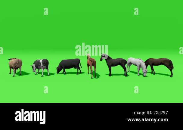 horse green screen animation Stock Video Footage - Alamy