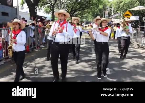 Traditional typical musical instruments Stock Videos & Footage - HD and ...