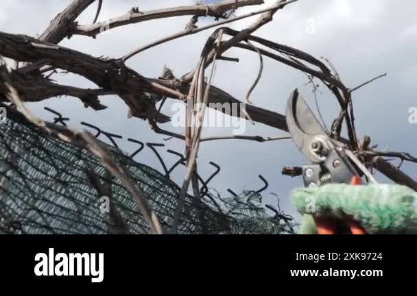 Tidy landscaping Stock Videos & Footage - HD and 4K Video Clips - Alamy