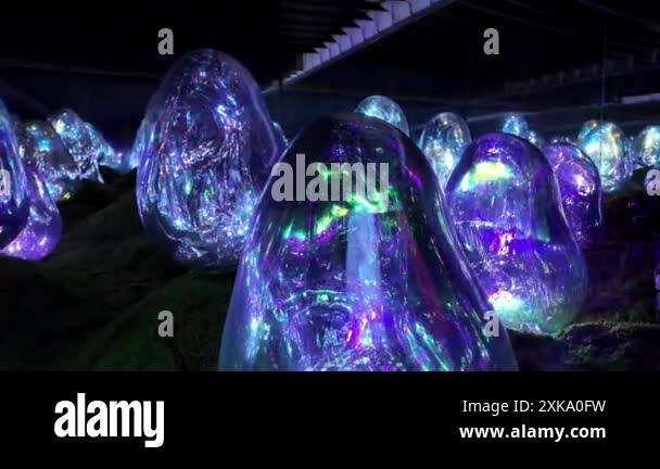 teamLab Planets TOKYO is a museum where you walk through water, and a ...