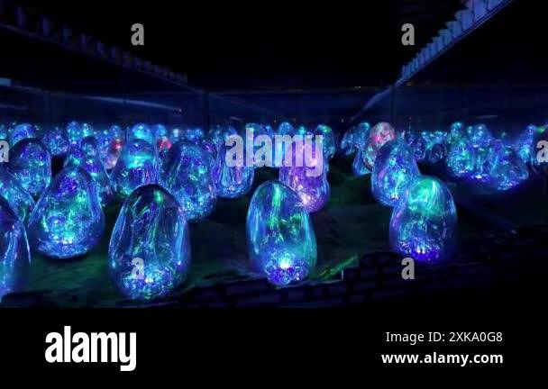 teamLab Planets TOKYO is a museum where you walk through water, and a ...