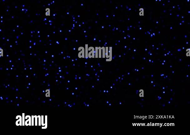 Abstract glow blue particles flying animation on black background for ...