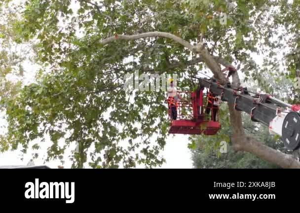 Cherry picker maintenance Stock Videos & Footage - HD and 4K Video ...