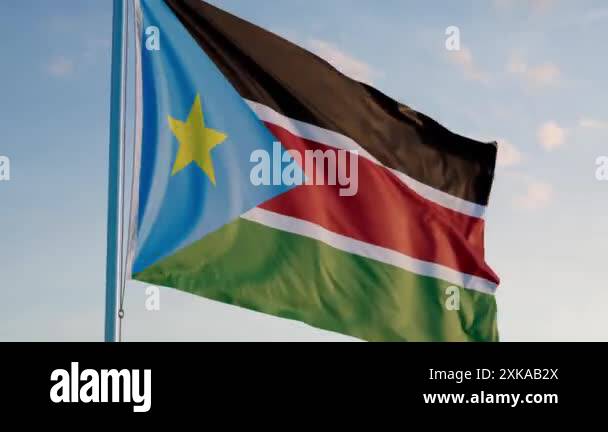 South sudan flag vector Stock Videos & Footage - HD and 4K Video Clips ...
