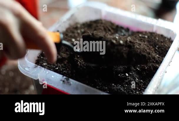 Marijuana growing process Stock Videos & Footage - HD and 4K Video ...