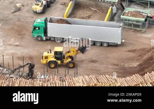 Wood sawmill, machinery for processing wood. Processing plant. A worker operating loader, modern ...