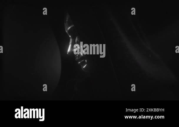 Egyptian black white Stock Videos & Footage - HD and 4K Video Clips - Alamy