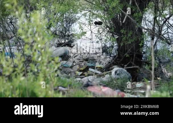 Water contamination, Pollution effects, Pollution challenge. Presence ...