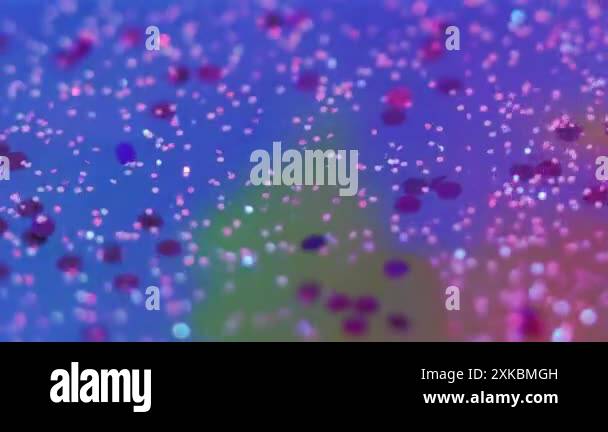 Sequin texture Stock Videos & Footage - HD and 4K Video Clips - Alamy