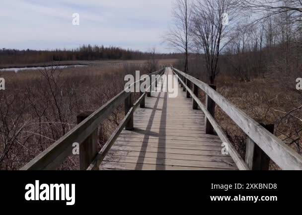 Mer bleue conservation area Stock Videos & Footage - HD and 4K Video ...