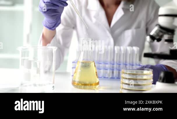 Woman drips liquid reagent into flask with yellow oil using pipette ...