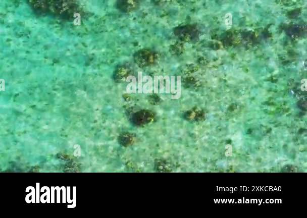 Water surface in vibrant green. Aerial view of a crystal clear sea ...
