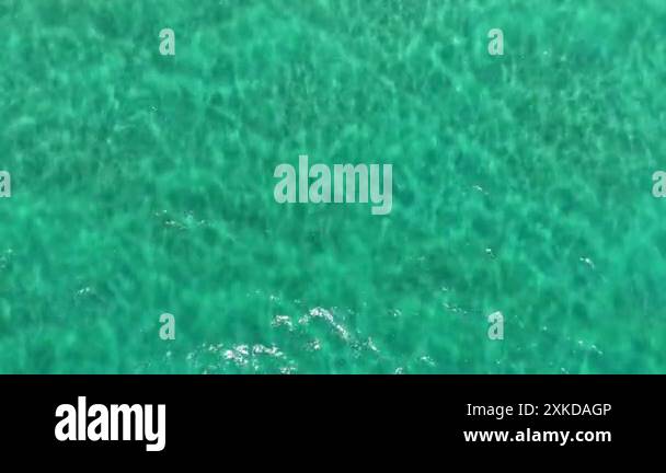 Punta Prosciutto azure sea water, crystal clear water on beach Punta ...