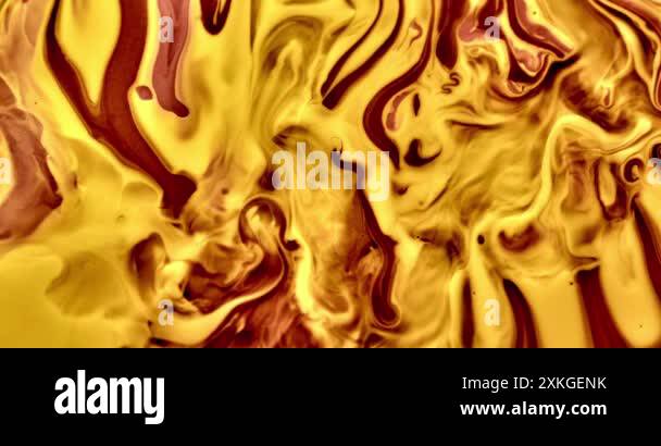 Vivid contrast Stock Videos & Footage - HD and 4K Video Clips - Alamy