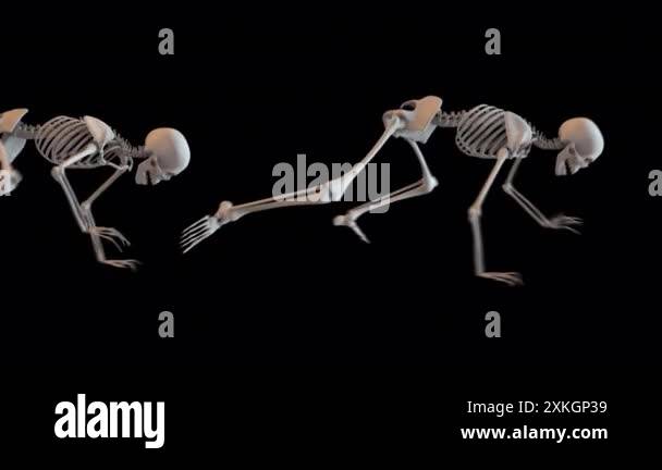 3D animated Skeleton characters crawling on the ground in a realistic ...