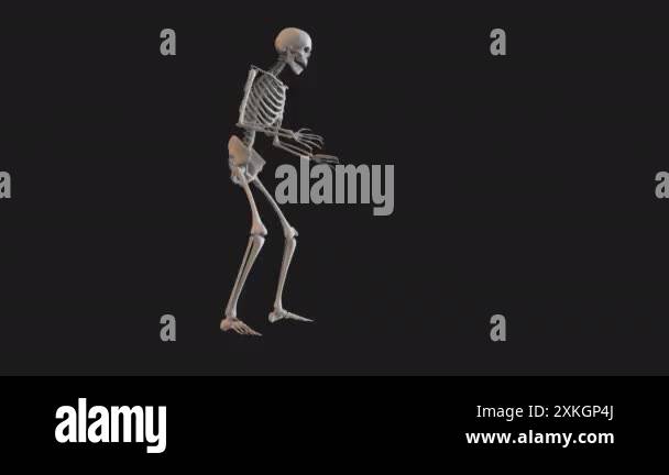 A 3D animated Skeleton character collapsing and falling on the ground ...