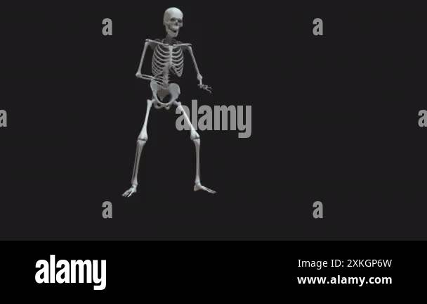 A 3D animated Skeleton character collapsing and falling on the ground ...