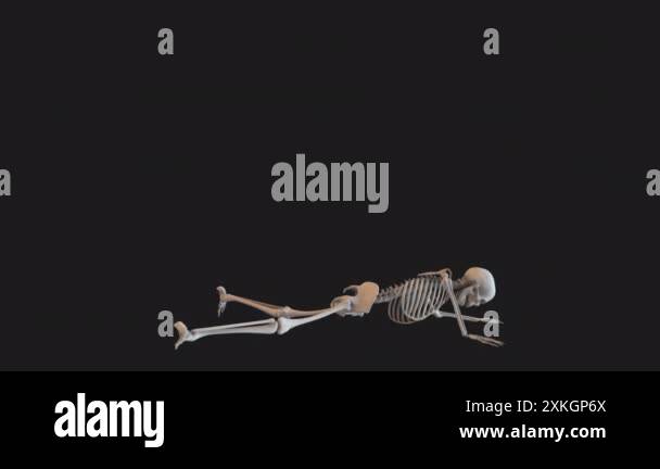A 3D animated Skeleton character laid on the ground and standing up in ...