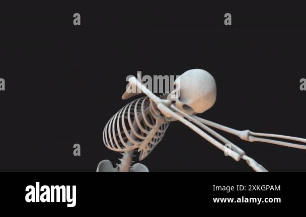 A 3D animated Skeleton character in a looping zombie walk sequence with ...
