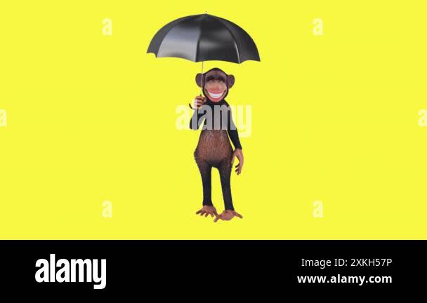 Monkey umbrella Stock Videos & Footage - HD and 4K Video Clips - Alamy