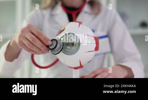 Female surface anatomy Stock Videos & Footage - HD and 4K Video Clips ...