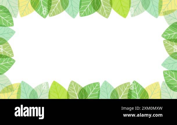 leaves illustration frame on white background (12 seconds loop Stock ...