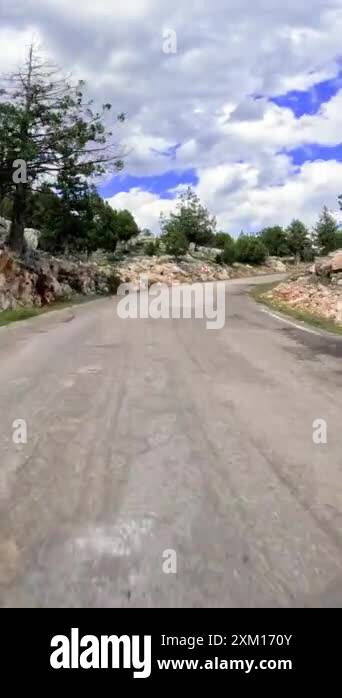 Driving through mountains on winding road surrounded by pine trees ...