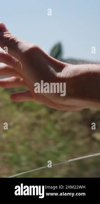 Vertical video. A Hand Reaching Out the Window of a Car, Feeling the ...