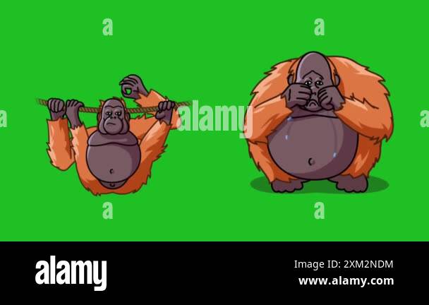 Monkey body illustration Stock Videos & Footage - HD and 4K Video Clips ...