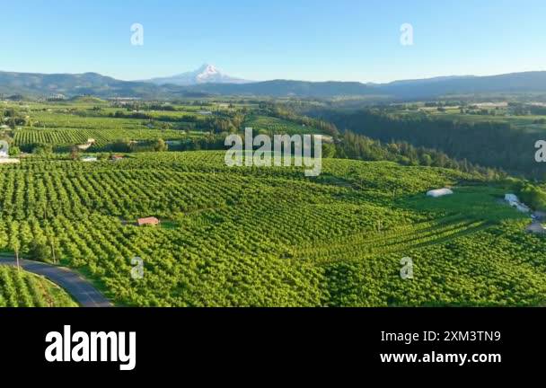 Mount hood snow capped Stock Videos & Footage - HD and 4K Video Clips ...
