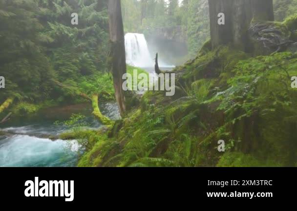 Misty oregon Stock Videos & Footage - HD and 4K Video Clips - Alamy