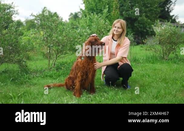 Young Caucasian woman having fun playing with a Irish Setter dog ...