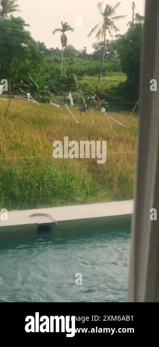 Vertical view from the window of a villa, the curtains are blown by the ...