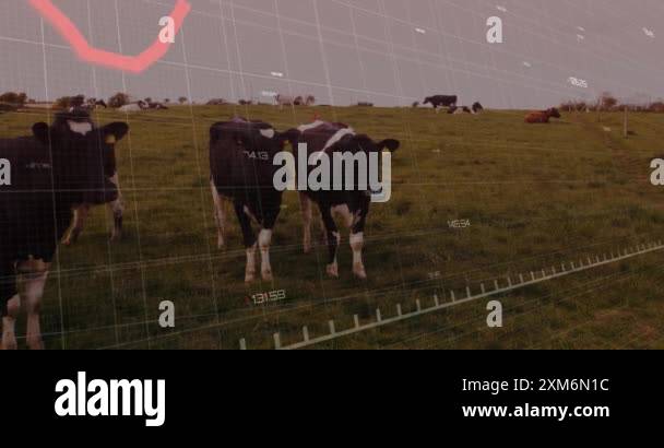 Farming technology cows Stock Videos & Footage - HD and 4K Video Clips ...