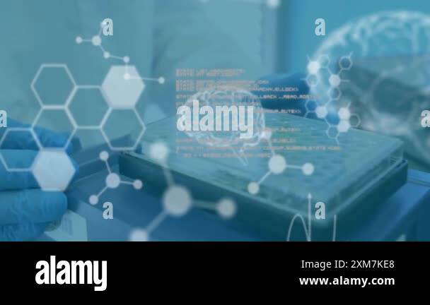 Animation of scientific data processing and human brains over scientist ...