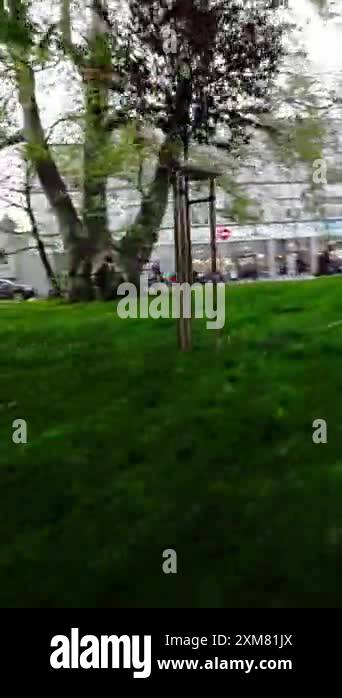 This is a video of a peaceful walk through a beautiful park. The lush ...