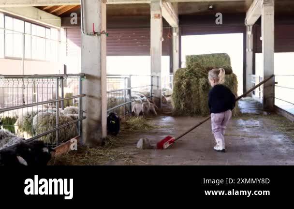 Broom house farm Stock Videos & Footage - HD and 4K Video Clips - Alamy