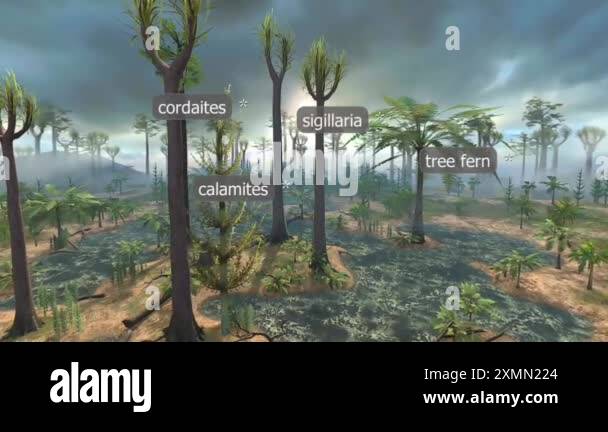 Diversity of plant life in ancient ecosystems Stock Videos & Footage ...