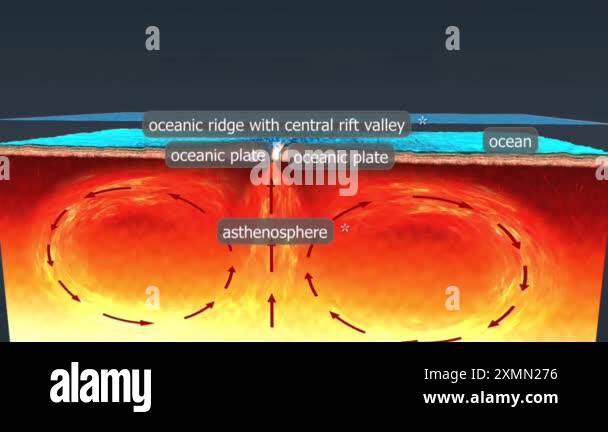 Tsunamis are a series of ocean waves that can be caused by a sudden ...
