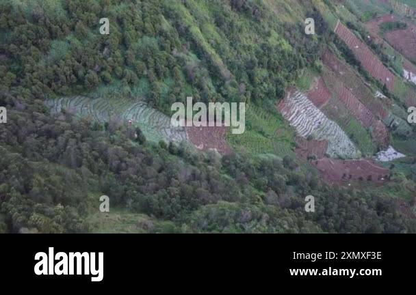 Aerial view of terraced farmland on a hillside, showcasing various ...