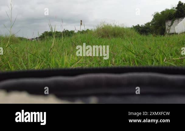 Ground level view in a field Stock Videos & Footage - HD and 4K Video ...