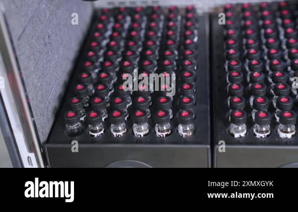 HPLC glass vials with black caps are positioned in the autosampler ...