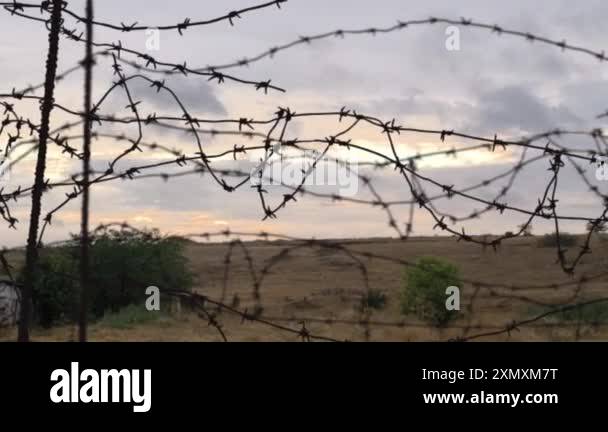Tangled barbed wire Stock Videos & Footage - HD and 4K Video Clips - Alamy