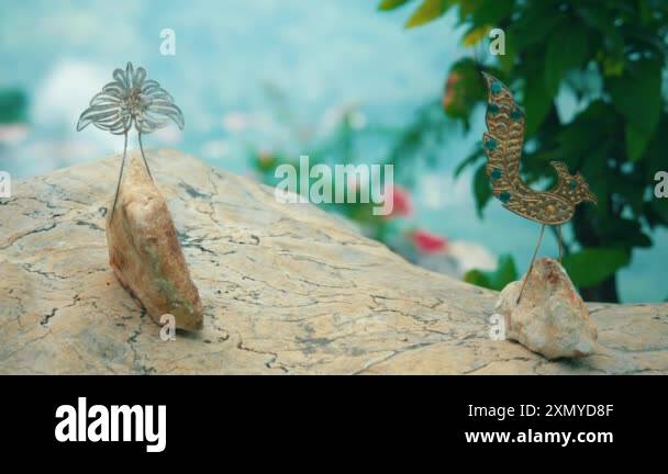 Rock shaped like a bird Stock Videos & Footage - HD and 4K Video Clips ...