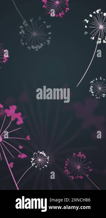 Spring flower silhouettes illustration Stock Videos & Footage - HD and ...