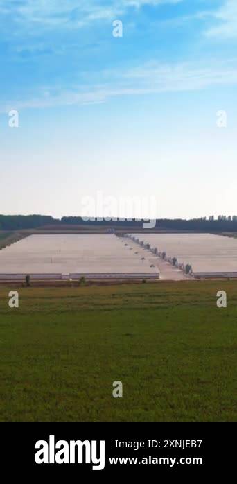 Vertical animal animals Stock Videos & Footage - HD and 4K Video Clips ...