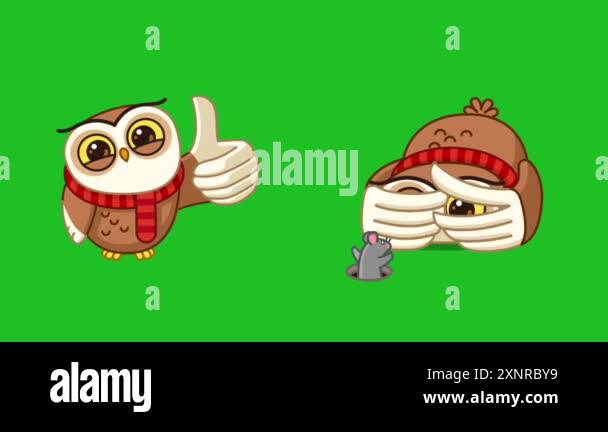 Owl smile Stock Videos & Footage - HD and 4K Video Clips - Alamy