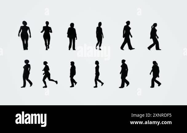 Human profile vector Stock Videos & Footage - HD and 4K Video Clips - Alamy