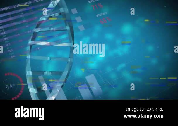 Dna strand pie charts scientific Stock Videos & Footage - HD and 4K ...